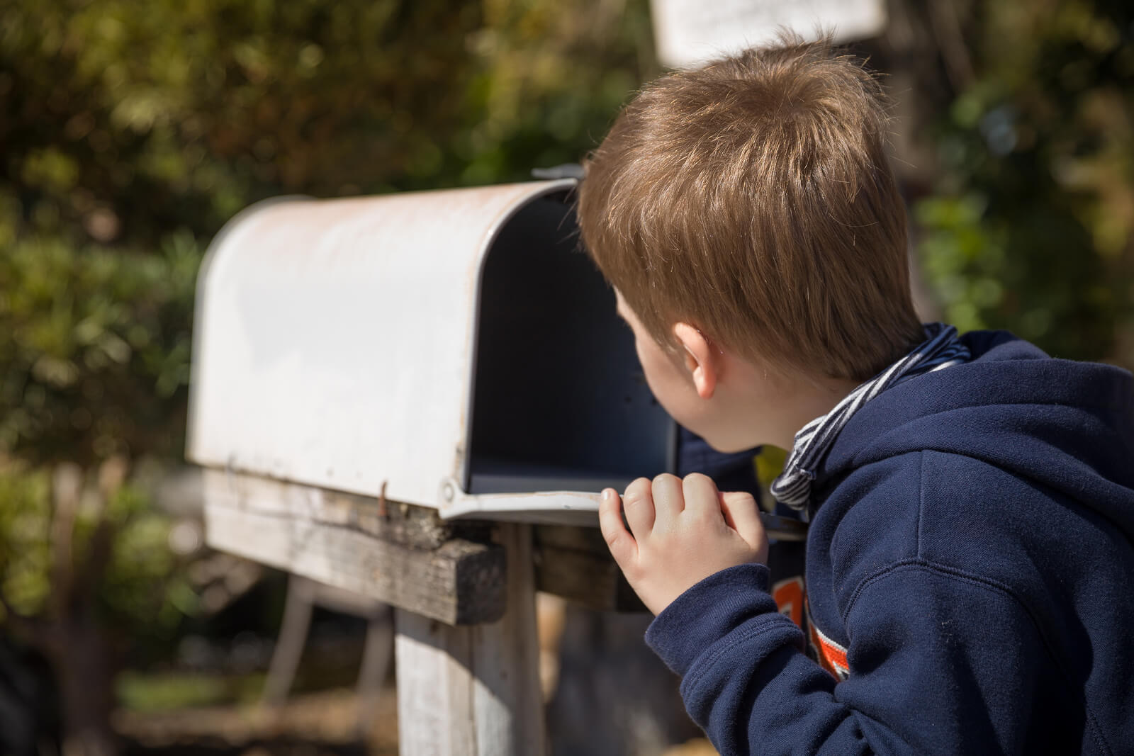 Help WordPress Not Sending Email WordHer